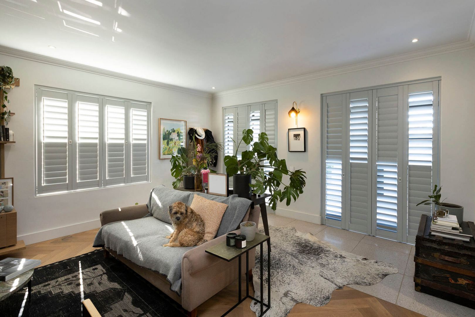 internal-shutters-1.jpg